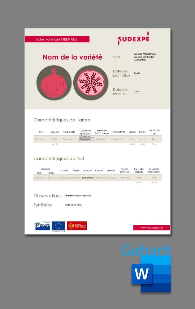 Graphiste freelance, illustration, photographie à Montpellier et Nîmes ...